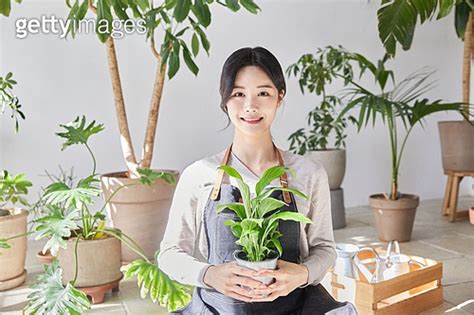 원예 레저활동 분갈이 원예 취미 주제 플로리스트 소매업자 여성 관상용식물 식물 웃음 얼굴표정 미소 얼굴표정 이미지 Jv12659997