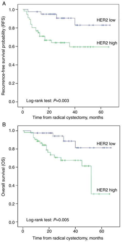 Prognostic Significance Of Her2 Status Evaluation Using Immunohistochemistry In Patients With