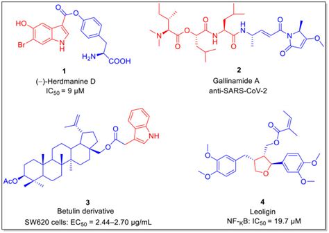 Steglich Esterification A Versatile Synthetic Approach Toward The Synthesis Of Natural Products
