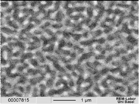 High Resolution Secondary Electron Image Of Run Stac 8 1 Micro Phase Download Scientific