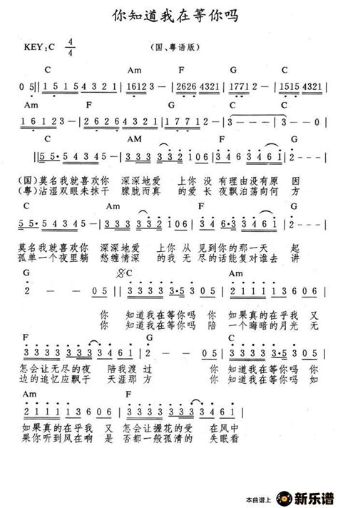 你知道我在等你吗最新曲谱 钢琴谱吉他谱 xinyuepu 新乐谱