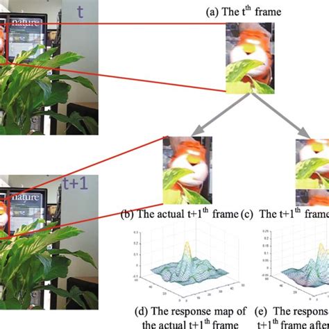 An Example Where Circular Shifts Do Not Represent Actual Translations Download Scientific