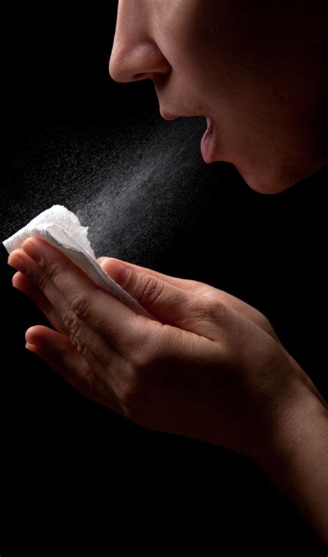 Influenza Transmission Modeling One Health Trust