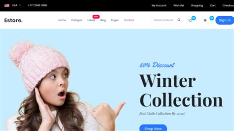 20 Responsive Ecommerce Website Templates Using Html With Css Codewithrandom