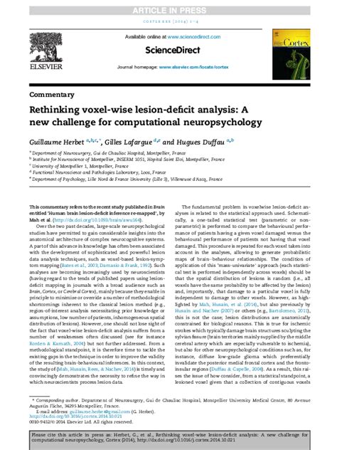 Pdf Rethinking Voxel Wise Lesion Deficit Analysis A New Challenge For Computational