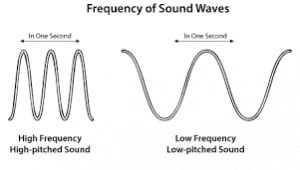 Deeper Sonar Review Deeper Start Pro Pro And CHIRP Reviewed USAngler
