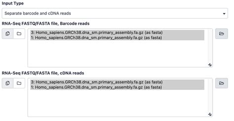 Multi Select Inputs To Workflow And Subworkflow Au
