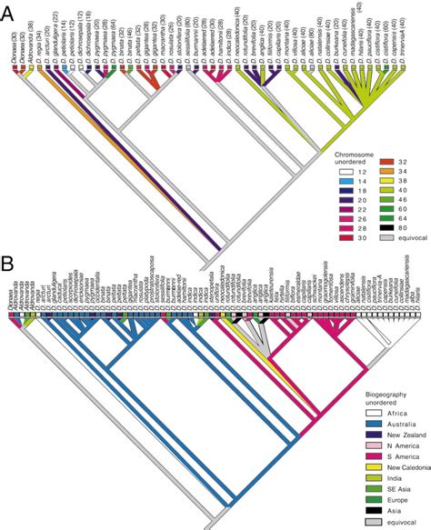 Strict Consensus Of The Shortest Trees Obtained For Drosera Using The