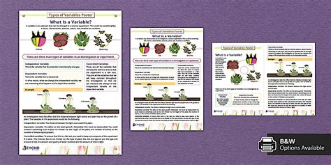 Types Of Variables Display Poster Teacher Made Twinkl