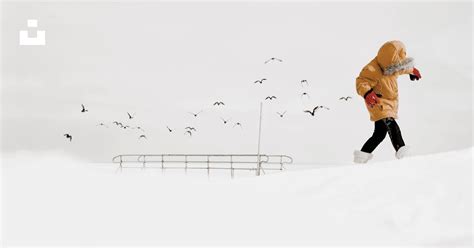 주황색 재킷과 검은 바지를 입은 사람이 낮에 눈 덮인 땅을 걷고 있습니다 사진 Unsplash의 무료 눈 이미지