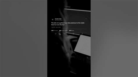 Python Programmers Status Quotes Learning Programmer Coder Youtube