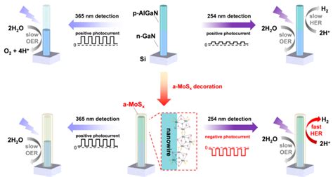 Working Principle Of Spectrall Image Eurekalert Science News Releases
