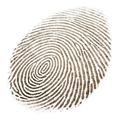 Abstract Fingerprint Texture Stock Illustration Illustration Of Abstract Fingerprint Texture Stock Illustration Illustration Of