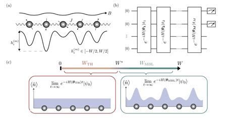 Quantum Algorithms Benefit From Many Body Localisation For Improved