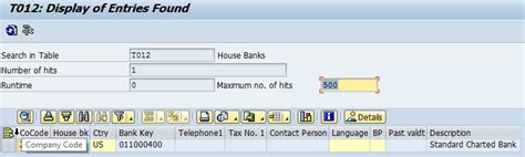 Automatic Payment Program Use In General Installm Sap Community