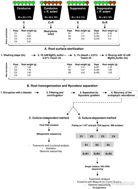 易基因技术推介｜植物内生菌宏基因组研究 知乎