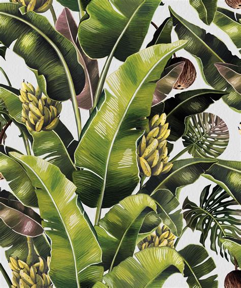 Banana Leaf Wallpapers Wallpaper Cave