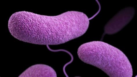Chemical Switches Used To Activate Antibiotics Directly At The Pathogen