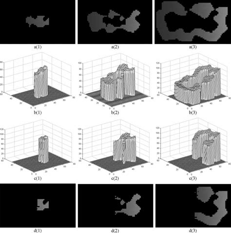 Principle Of Shrinkage Simulation A The Pixels Extracted From The