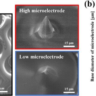 A SEM Images Of A Microelectrode Array MEA Which Show Download Scientific Diagram