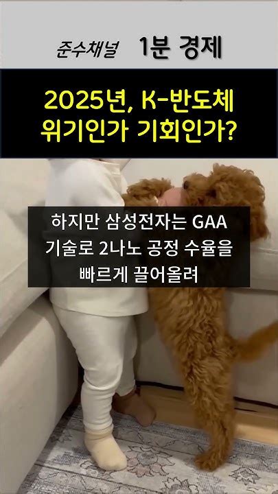 2025년 K 반도체 위기인가 기회인가 Youtube
