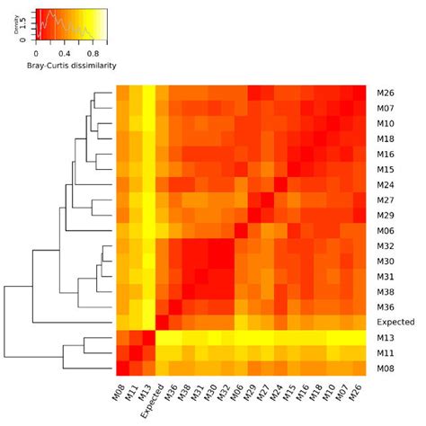 Heat Map Of Bray Curtis Dissimilarity And Average Linkage Clustering Download Scientific