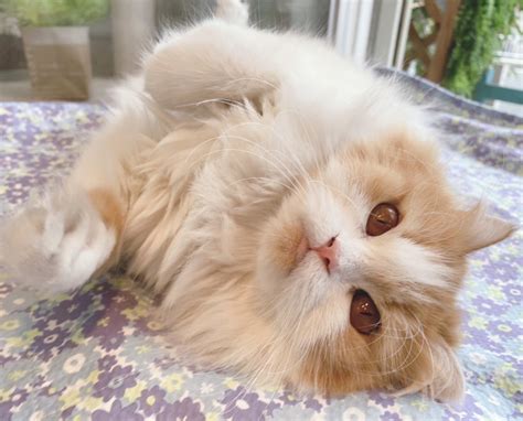 Bitlocker 回復キーを取得する方法 パソコン設定・障害・不具合