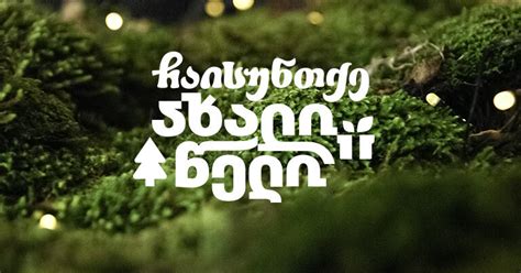 Marketer Ge On Linkedin როგორ აქცია ტერაბანკმა ახალი წლის სამზადისი გარემოზე ზრუნვის აქციად