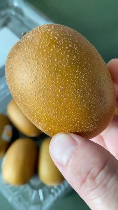 하나님이 주신 썬골드키위 맛있게 먹겠습니다 Youtube