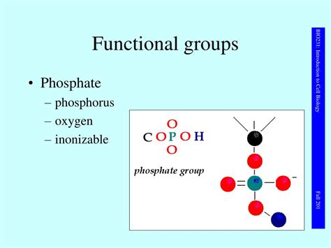 PPT Molecules And Functional Groups PowerPoint Presentation Free Download ID 6310057