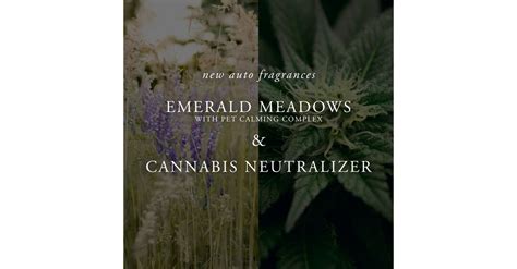 Scentair® Adds Two Popular Odor Neutralizing Fragrances To Its Auto Line Up