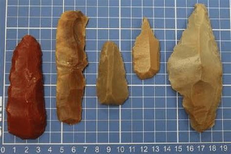 Clovis Blades Fashioned Into Formal Tool Types Left To Right