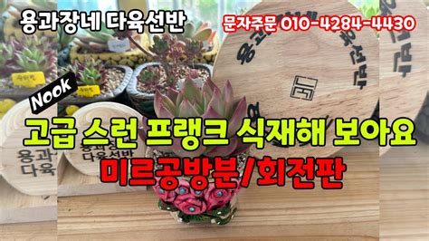 0425 다육이 프랭크 식재 하기 미르공방분회전판 글자 Youtube