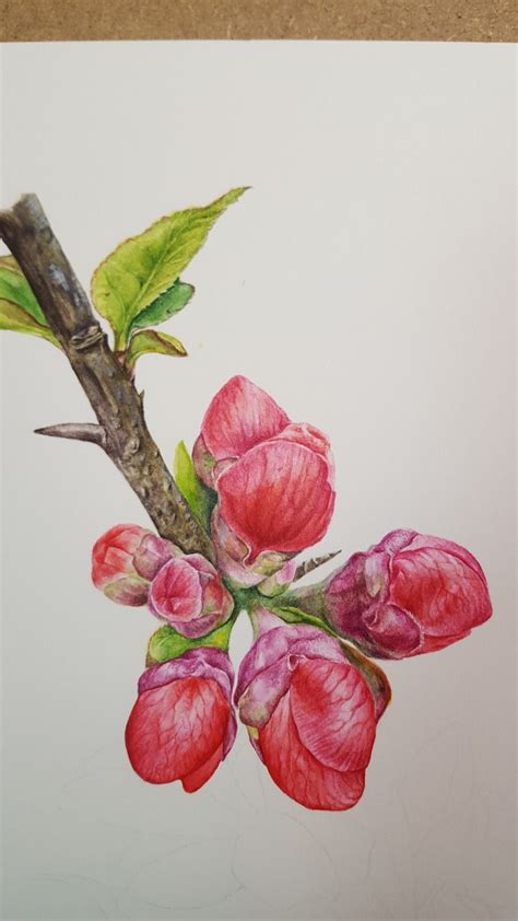 작가되기21 졸업전시 작품 2호 3호 모두 완성~ 중국 꽃 그림 풍경 수채화 꽃 예술