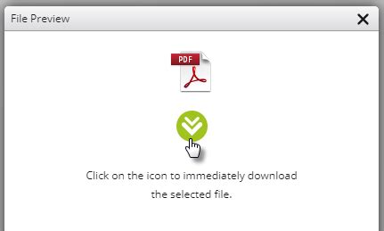 Dialog File Preview MicroTOOL Hilfeseiten