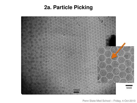 ppt cryo electron microscopy powerpoint presentation free download id 2856477