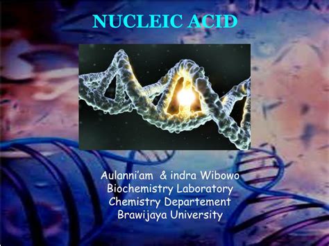 Ppt Nucleic Acid Powerpoint Presentation Free Download Id4945549