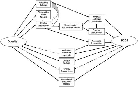 Of Mechanisms Linking Obesity With PCOS PCOS Indicates Polycystic Download Scientific Diagram