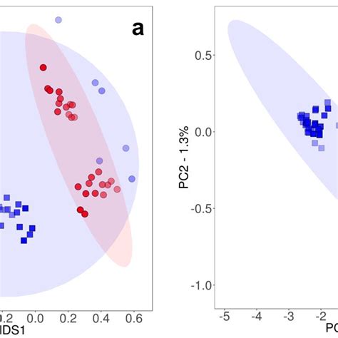7 multiple sequence alignment of protein fasta sequences of the gox download scientific