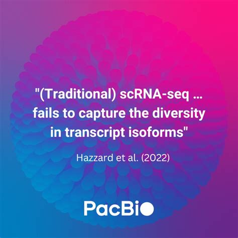 Grace Murray On Linkedin Long Read Single Cell Rna Sequencing Reveals The Isoform Diversity Of…