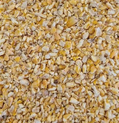 Maize Corn Germ Packaging Type Pp Bag 50 Kg At ₹ 2850kg In