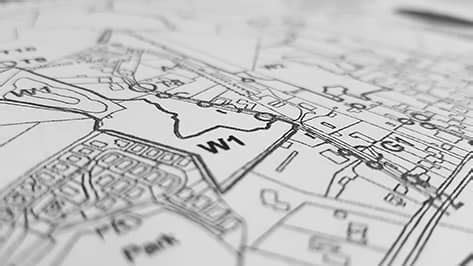 Tree Preservation Orders Aspect Arbor