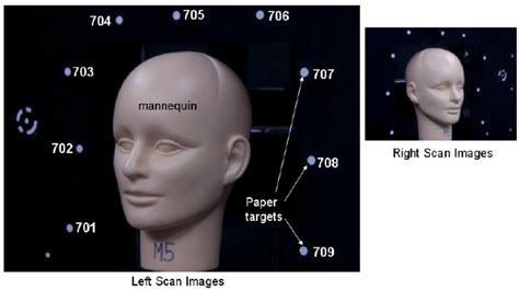Mannequin As Test Object For Accuracy Testing Of The New Method Download Scientific Diagram