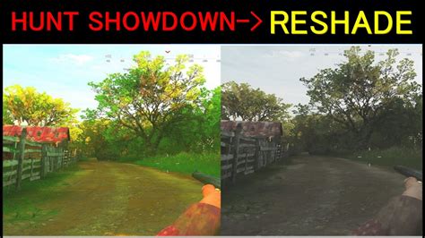 Huntshowdown Reshade Crosshair Youtube