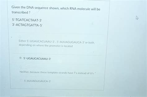Solved Given The DNA Sequence Shown Which RNA Molecule Will Chegg Com