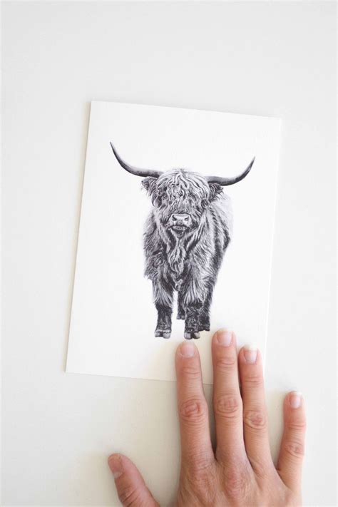 Highland Cow Greeting Card Canadian Artist Pen On Paper Co