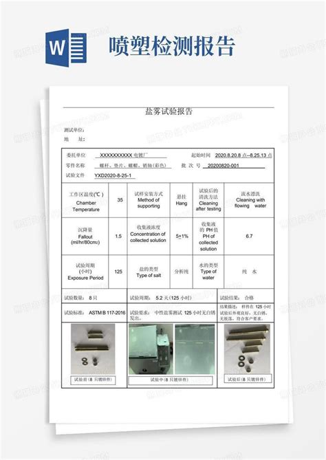 喷塑厂盐雾试验报告Word模板下载 编号qokeobrw 熊猫办公