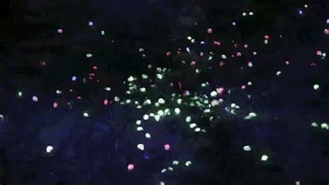 The Star Stuff Hundreds Of Snails Tagged Porn Photo Pics