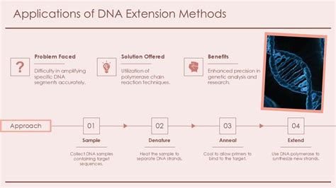 dna denaturation annealing extending ppt sample acp ppt powerpoint
