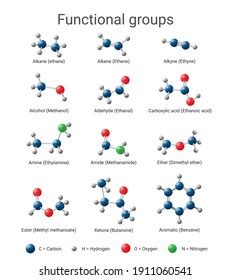 Thousand Functional Group Royalty Free Images Stock Photos Pictures Shutterstock